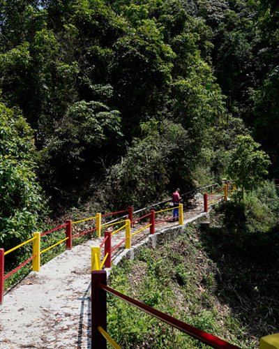 Bon Moyuri Eco Stay - Luxury Hotel in Dooars - Sundarban